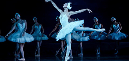 Din genvej til store oplevelser - Koncertsalen Alsion